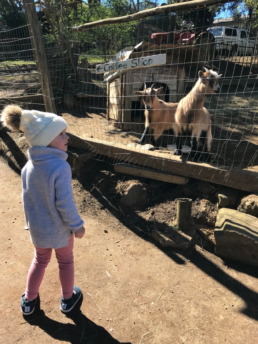Animal Farm – Botha’s Hill – Choose a Row